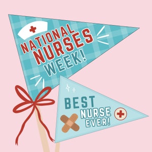 Printable National Nurses Week Photo Props Signs | Nurse Appreciation ...