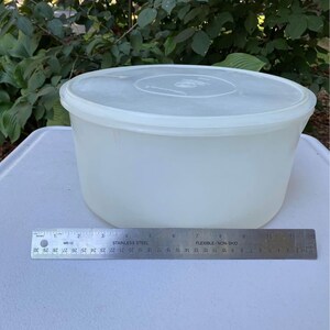 Tupperware Cake and Pie Carry All Container - Etsy