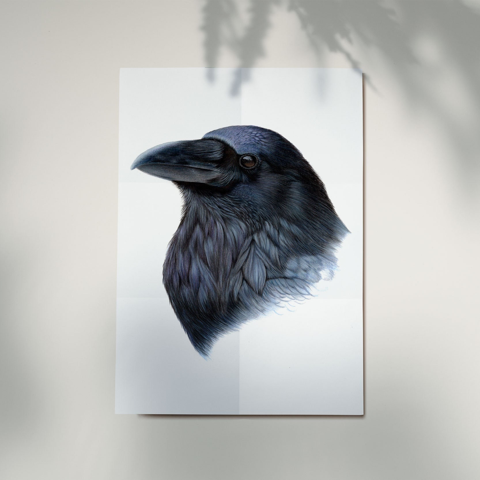 Original Raven Ink and Coloured Pencil Drawing Raven Artwork - Etsy UK