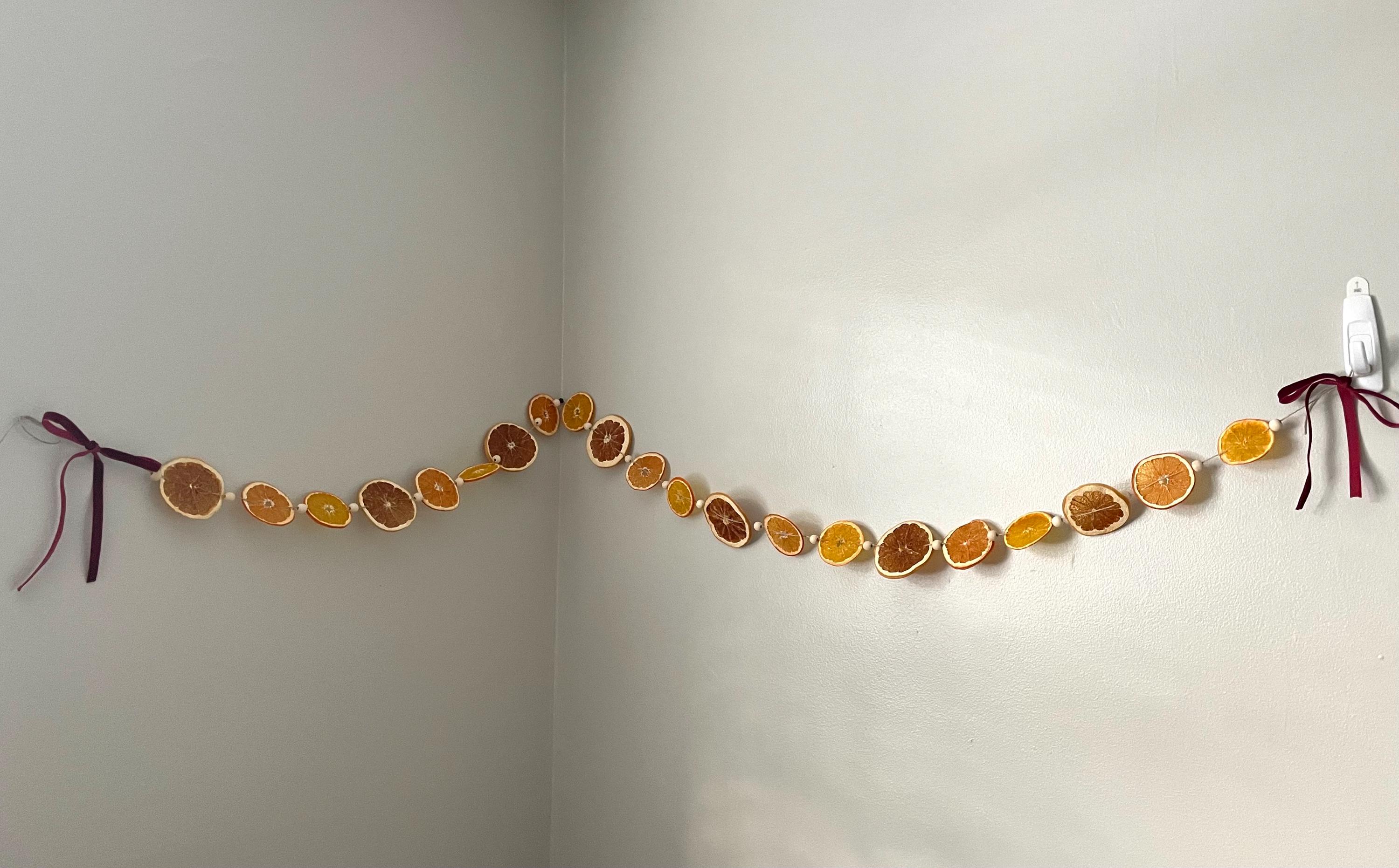 Dried Citrus Garland Fall Gift Hand-cut, Dehydrated Oranges Grapefruit ...
