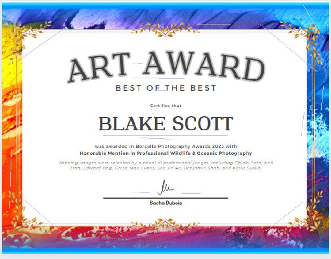 Art Award, Art Certificate, Best Art, Best of the Best Award ...