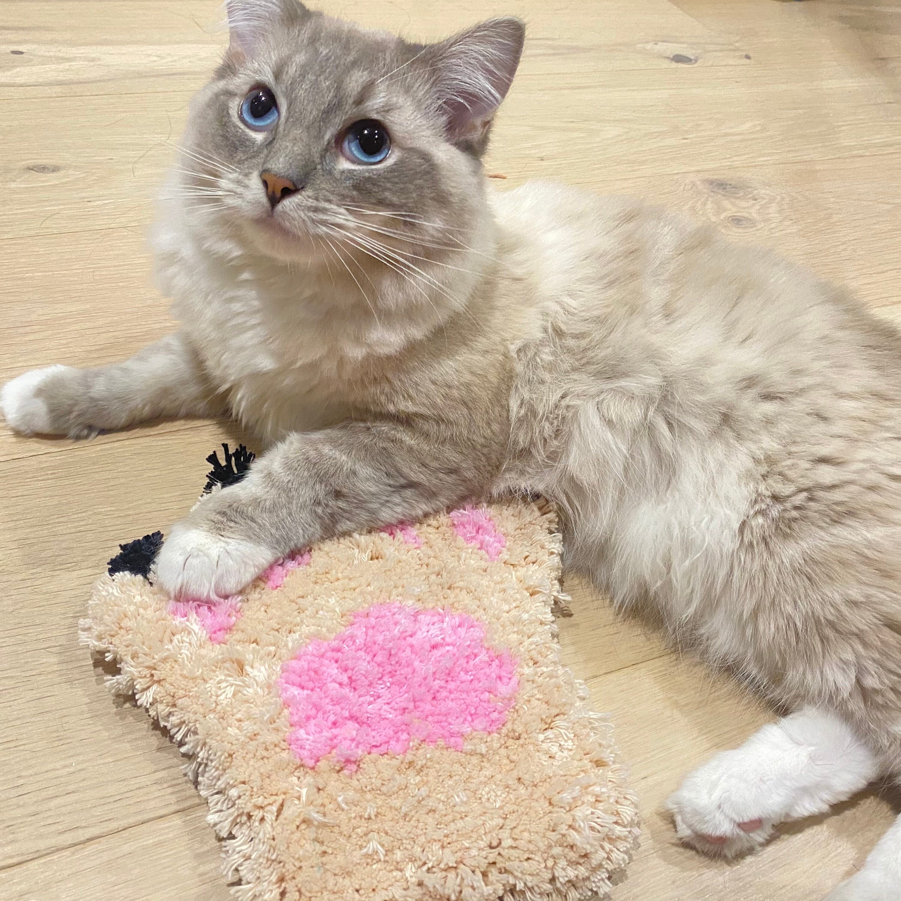 Lovely cat paw rug | Etsy