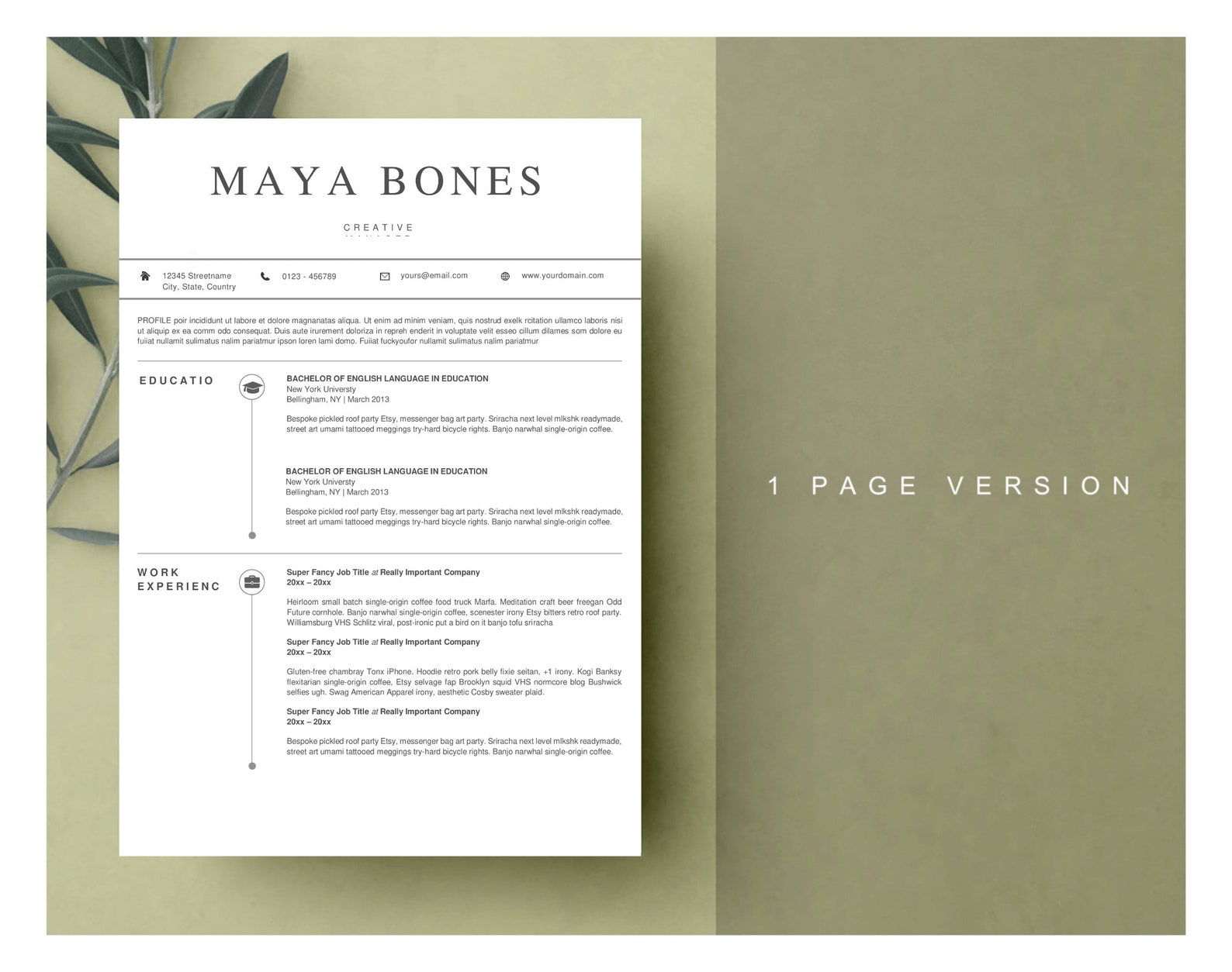 Teacher Resume, Resume Template Word, Professional Resume, Modern ...