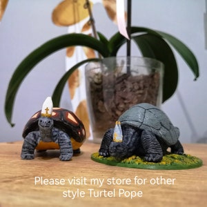 Pope Turtle, Miriel Pastor of Vows, Dark Souls Turtle - Etsy