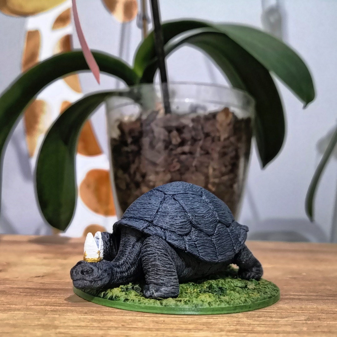 Elden Ring Pope Turtle II Style Miriel Pastor of Vows Elden - Etsy UK