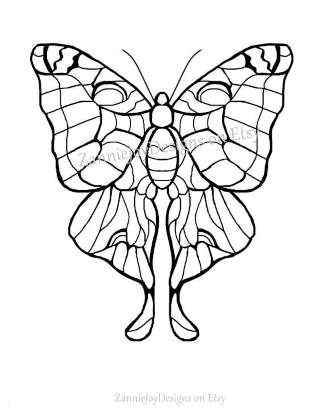 Stained Glass Butterfly, FREE Coloring Page Included, Butterfly/moth ...