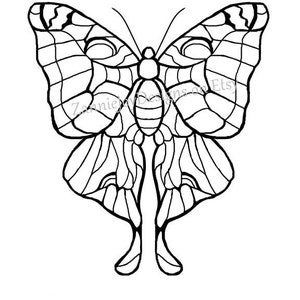 Stained Glass Butterfly, FREE Coloring Page Included, Butterfly/moth ...