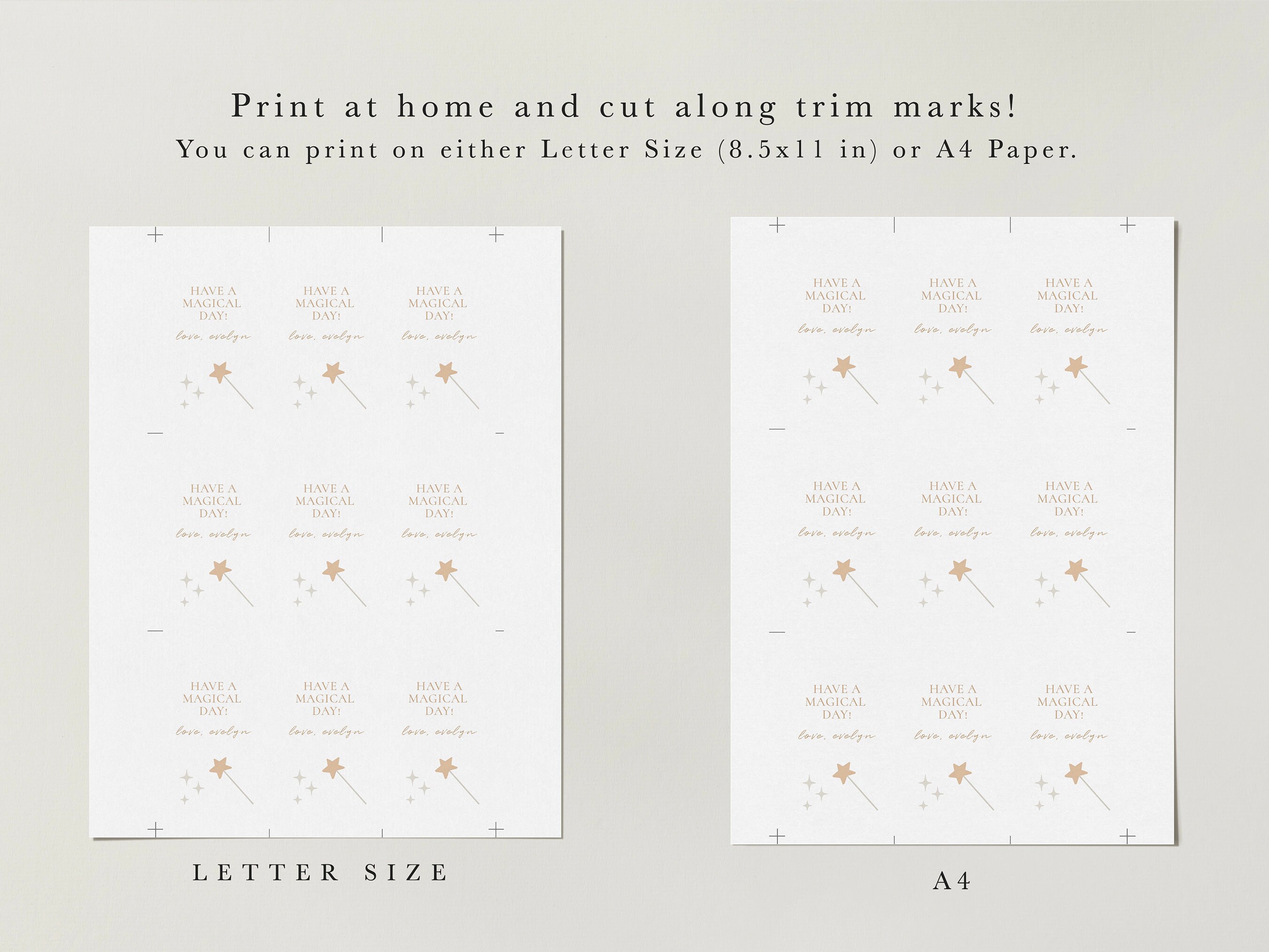 Fairy Birthday Party Favor Tags Editable Digital Template Fairy Treat ...