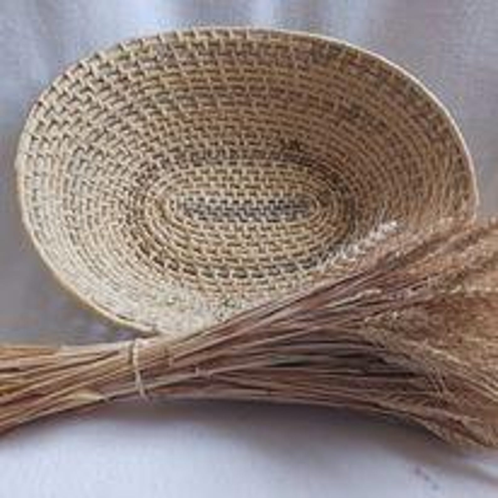 Golden Bearded Illinois Winter Wheat Sheaves - Etsy