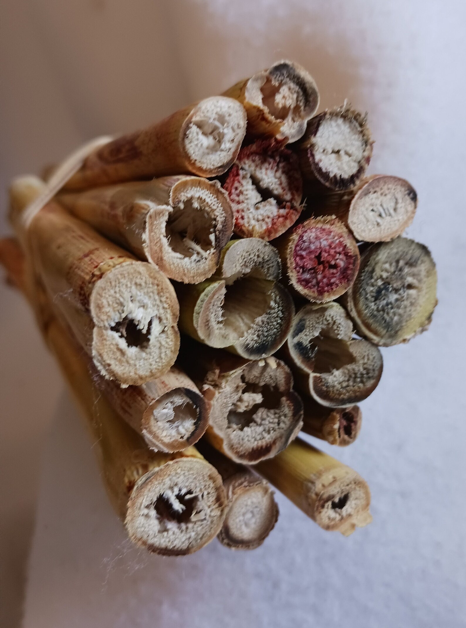 Broom Corn Stalks for Weaving/crafting - Etsy