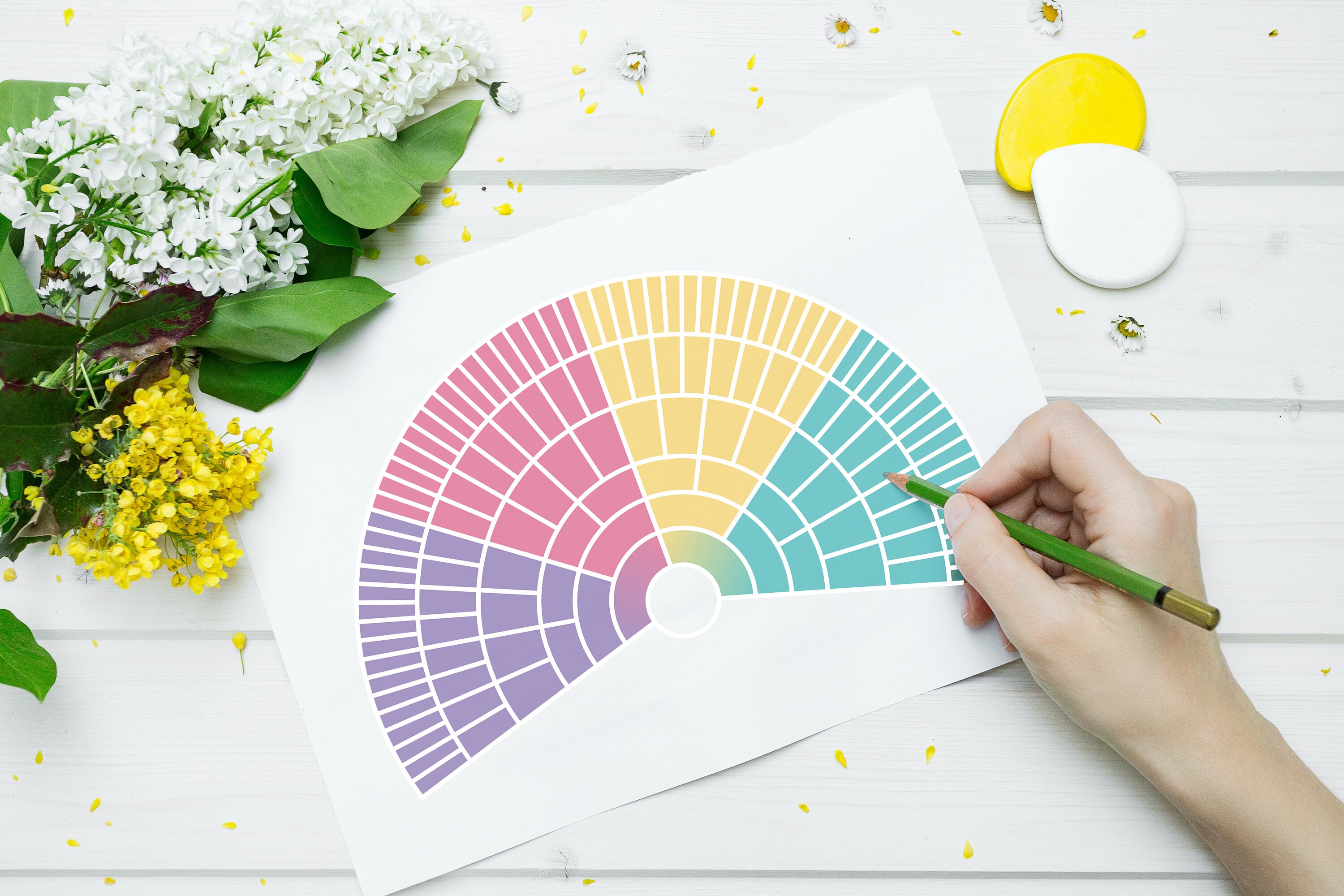 Genealogy Ancestry Fan Chart Set in 7 Colours PDF Template Set digital ...