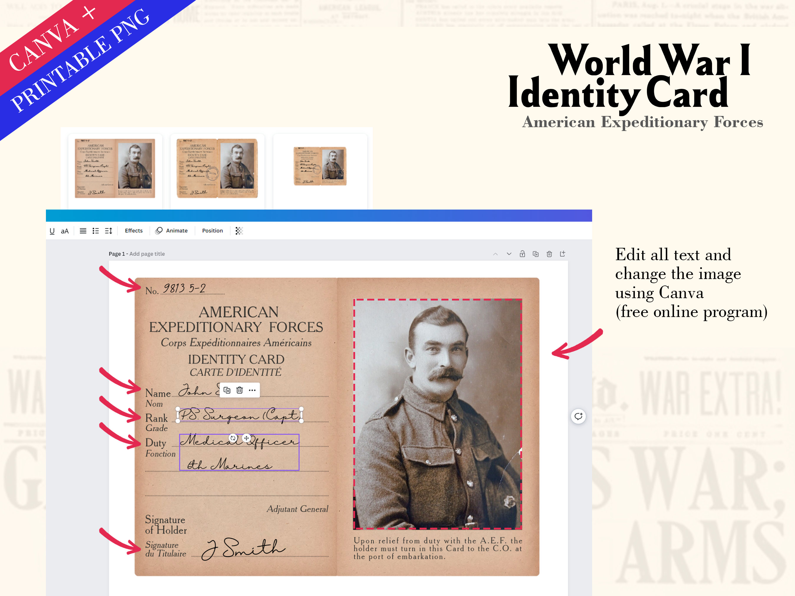 WW1 Identity Card American Expeditionary Forces Military Record ...