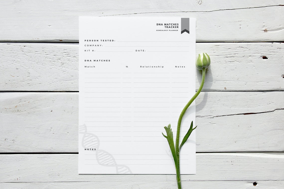 Genealogy Ancestry Worksheets Planner Set 6 Styles / Pages PDF (digital ...