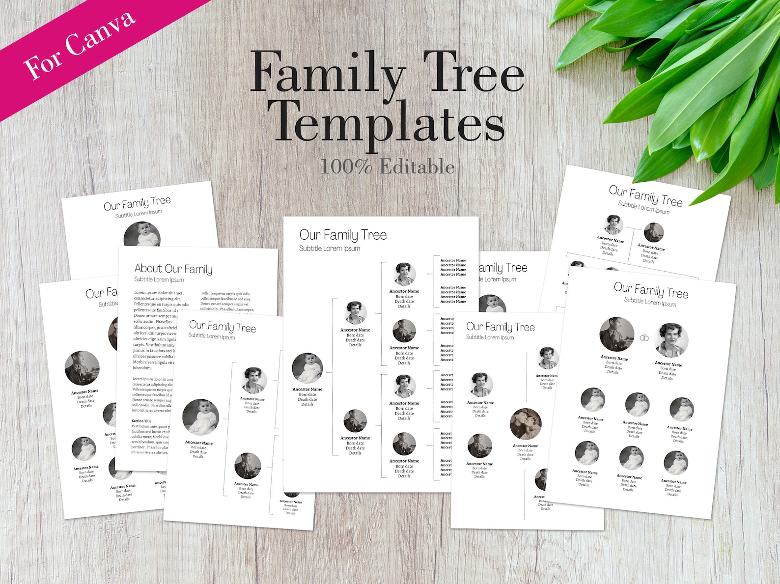 Canva Family Tree Bubble Templates – Ancestry Scrapbook (9 Pages ...
