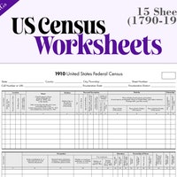 Census Summary Sheet - Fillable! or Download, Print + Fill in ...