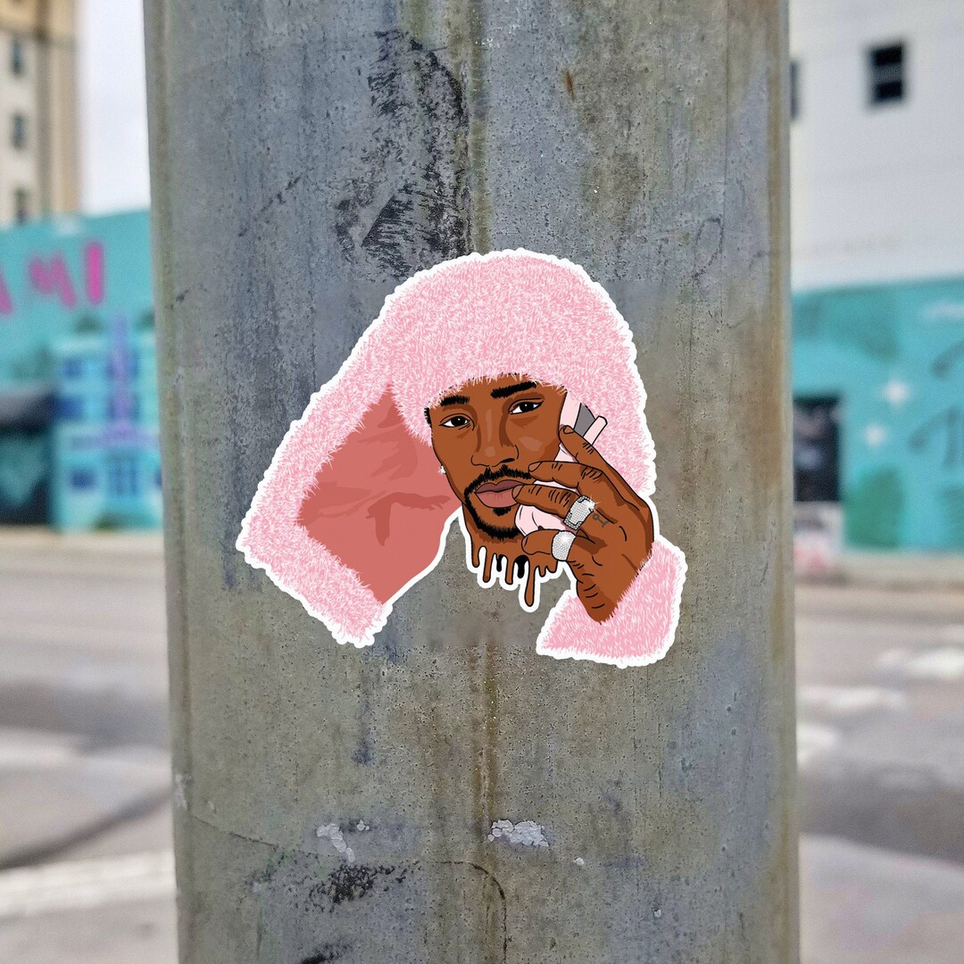 CAM'RON DRIP - Rapper Vinyl Sticker - Musical Sticker Aesthetic ...