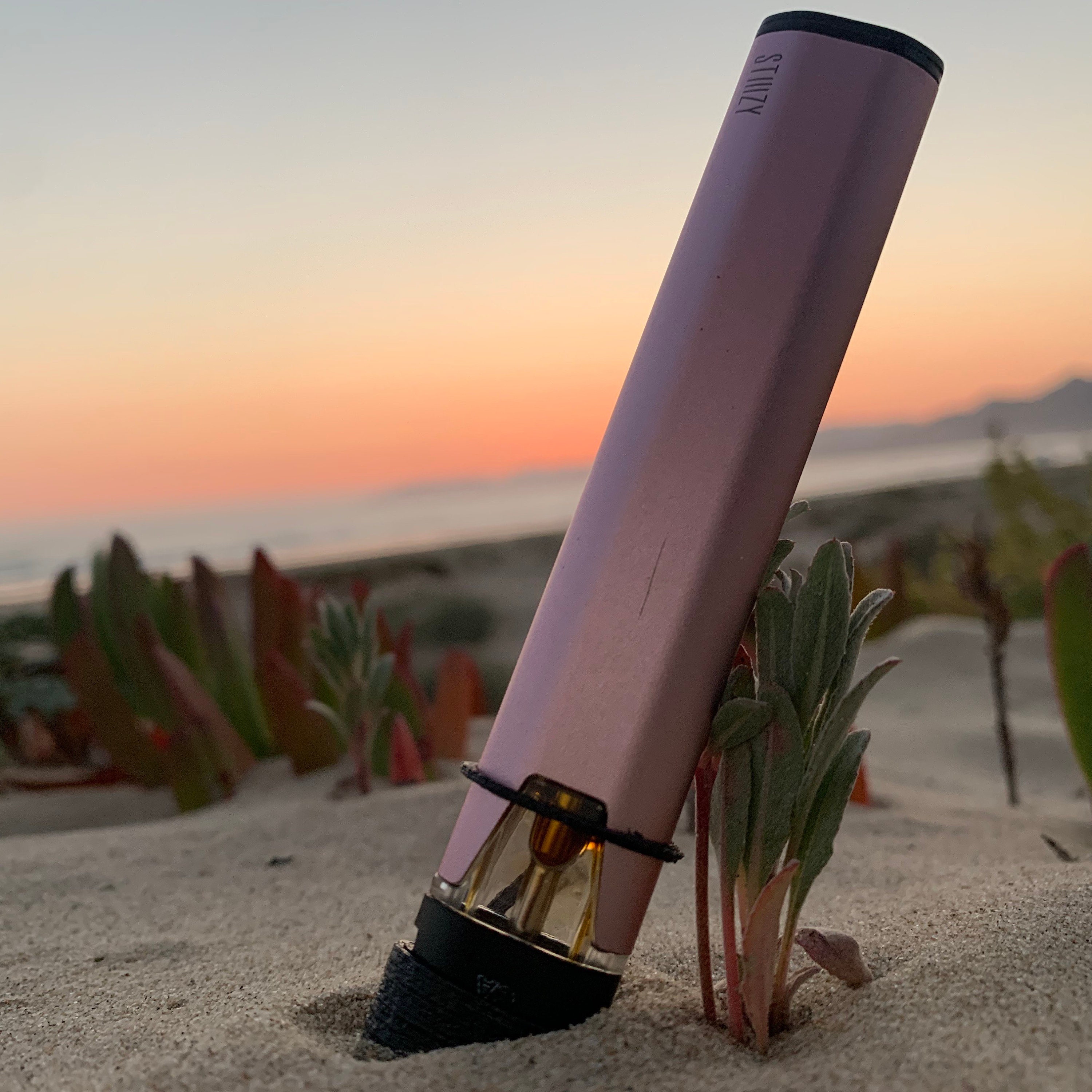 Stiiizy Cartridge Cover X2 - Etsy