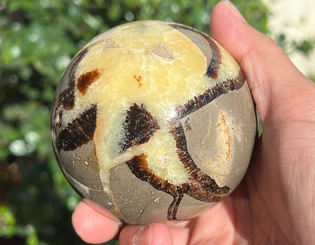 Large 1 Pound Septarian Sphere, Dragon Stone, New Beginnings ...