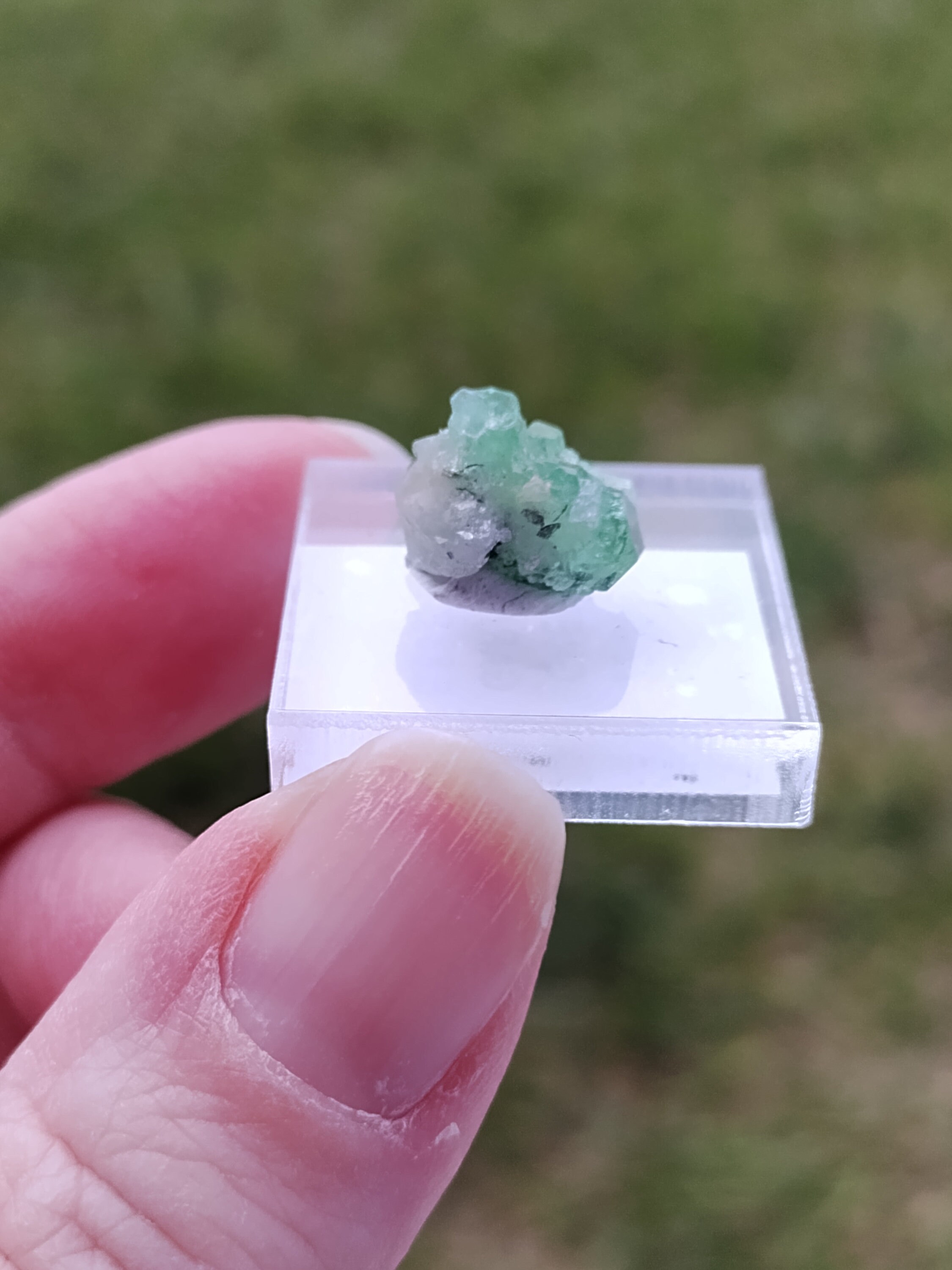 Rare Tsavorite Garnet G2 Merelani Hills - Etsy