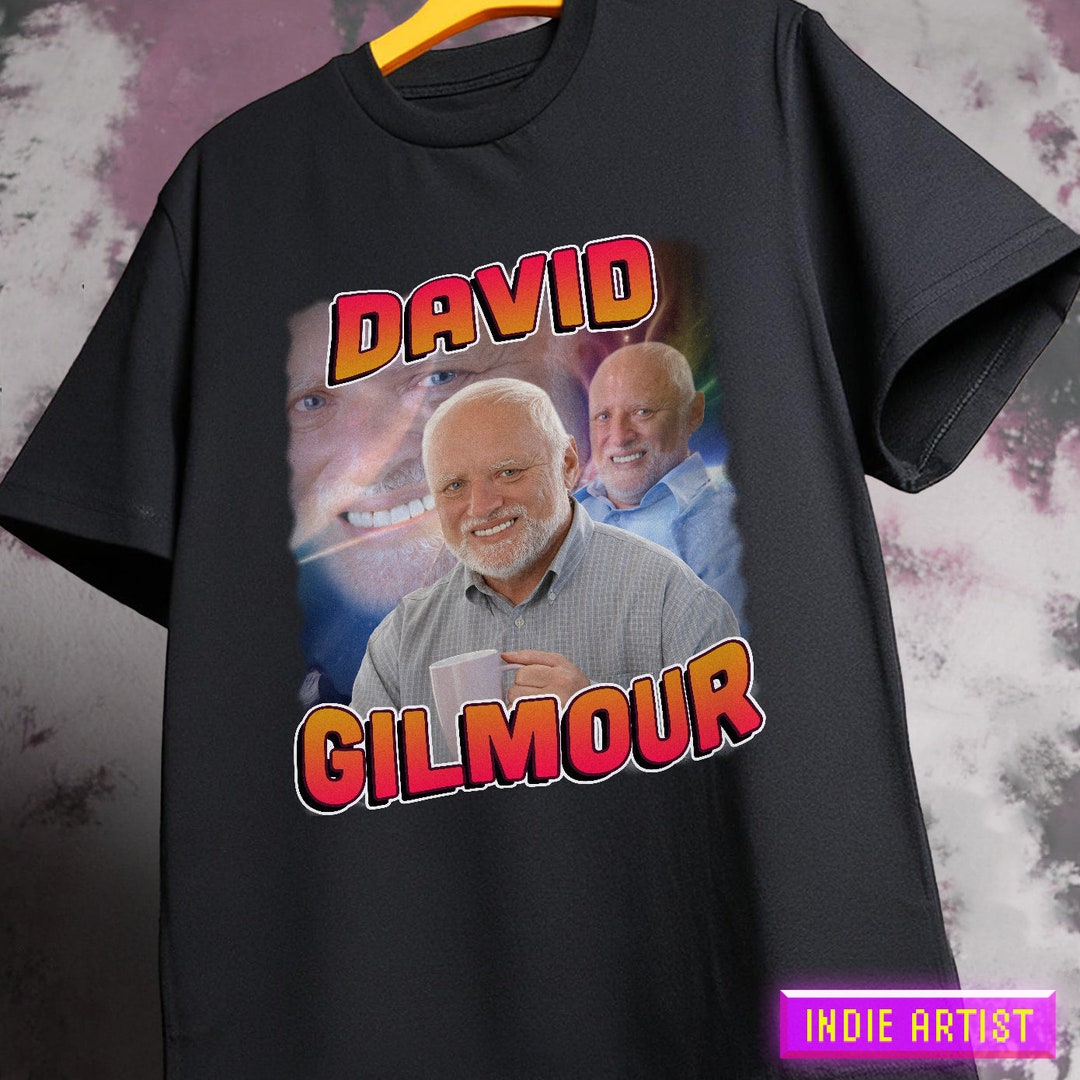 David Gilmour Meme T-shirt - Harold Meme - Pink Floyd Fan Tee ...