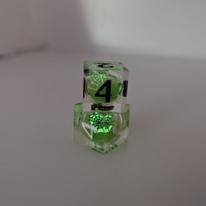 Glow in the Dark Spider Liquid Core Dice D6 Pair Sharp Edge Dice - Etsy