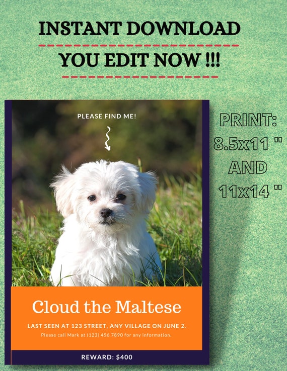EDITABLE Missing Dog Flyer And Poster Template Printable Lost Etsy