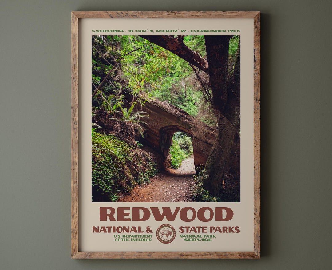 Redwood National Park Poster • Retro NPS Print • Nature Photography ...
