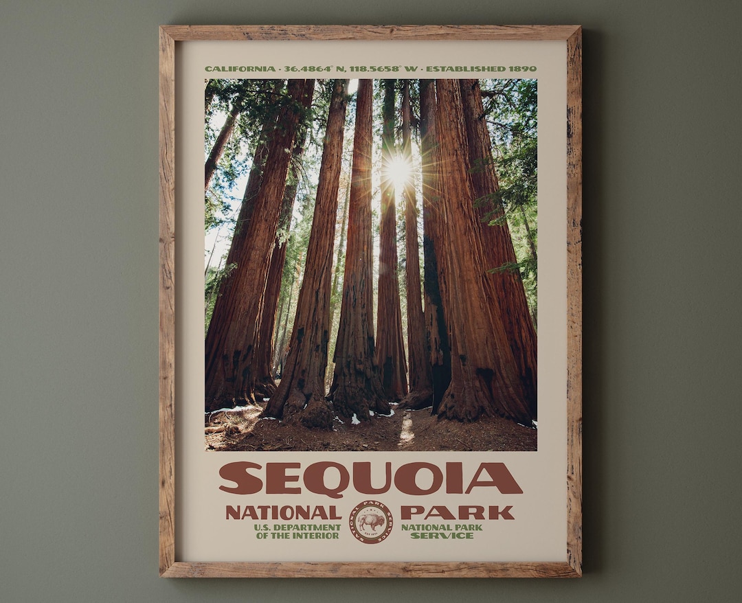 Sequoia National Park Poster • Retro NPS Print • Nature Photography ...