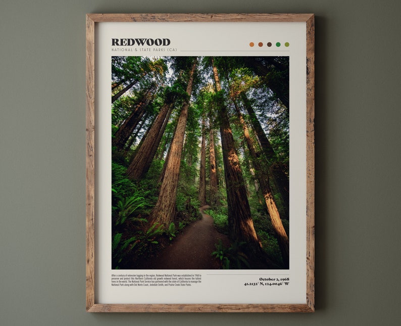 Redwood National Park Poster • Premium Quality Fine Art Print • Matte ...
