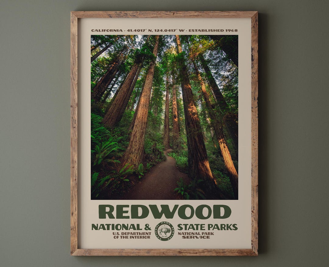 Redwood National Park Poster • Retro NPS Print • Nature Photography ...