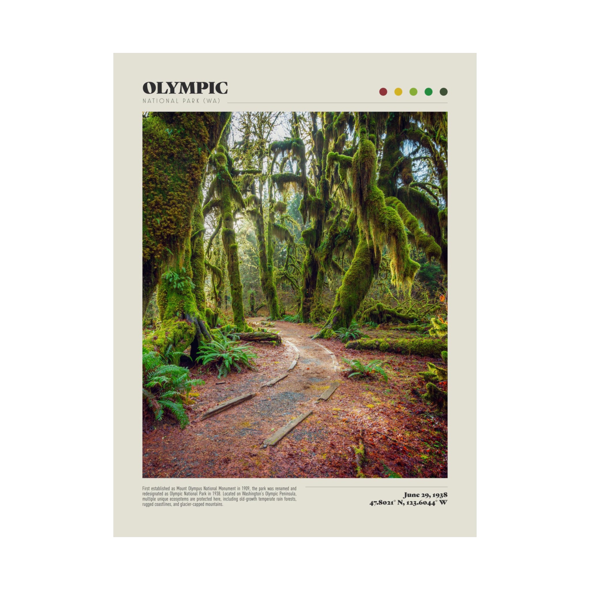 Olympic National Park Poster • Premium Quality Fine Art Print • Matte ...