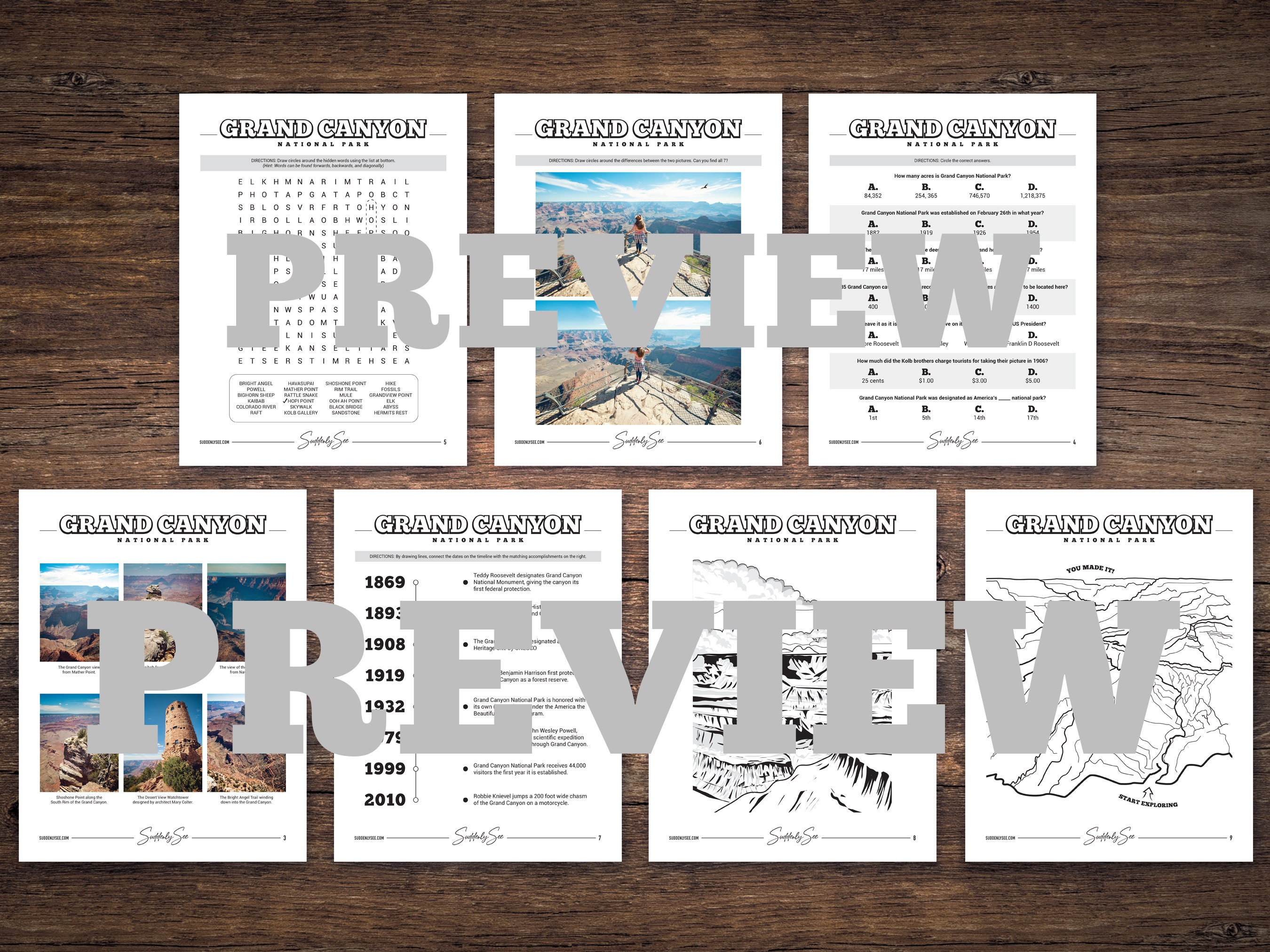 Grand Canyon Explorers Workbook • PRINTABLE for Kids & Adults ...