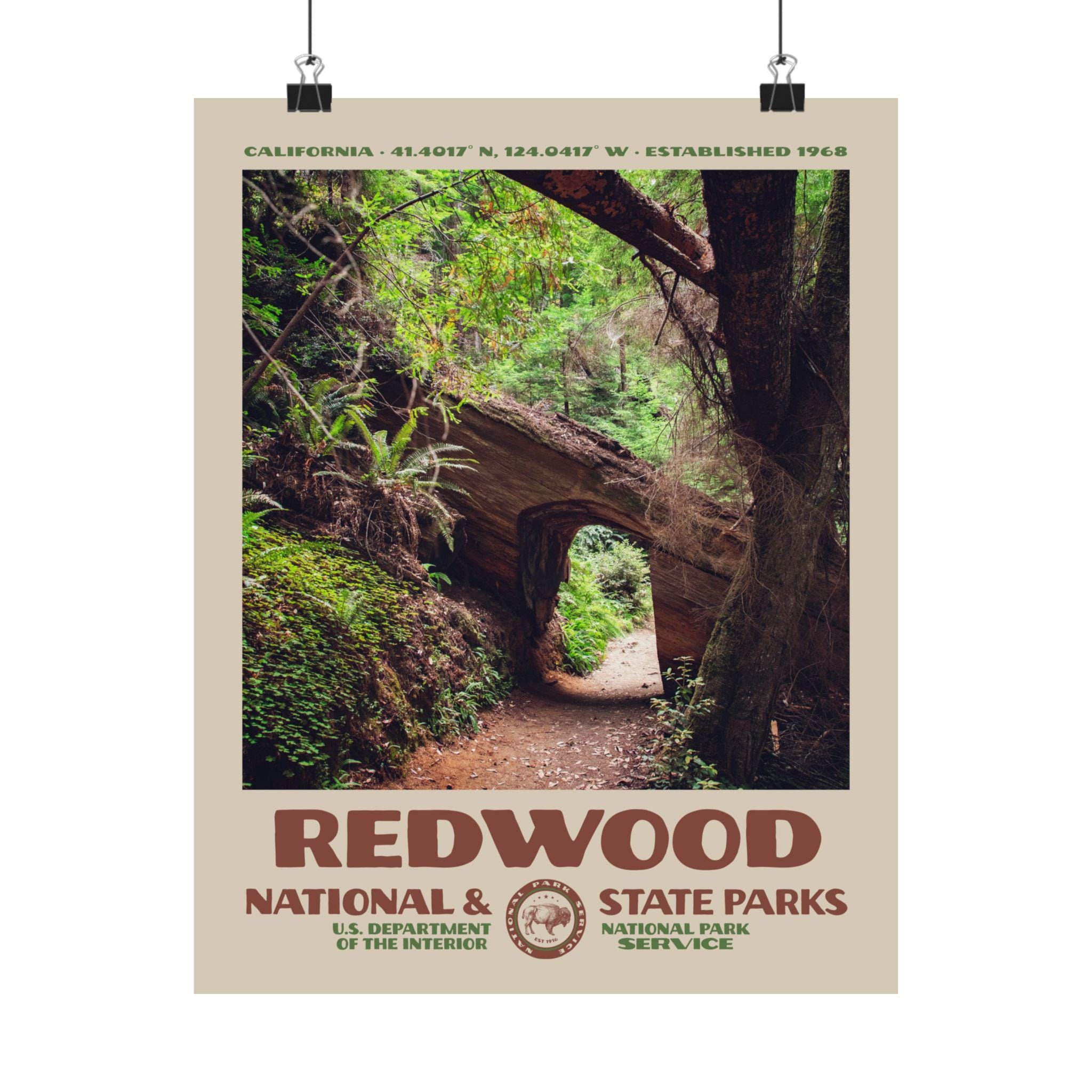Redwood National Park Poster • Retro NPS Print • Nature Photography ...