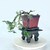 Florida Yew Rare Bonsai Tree green Elegance Collection From Rare and ...