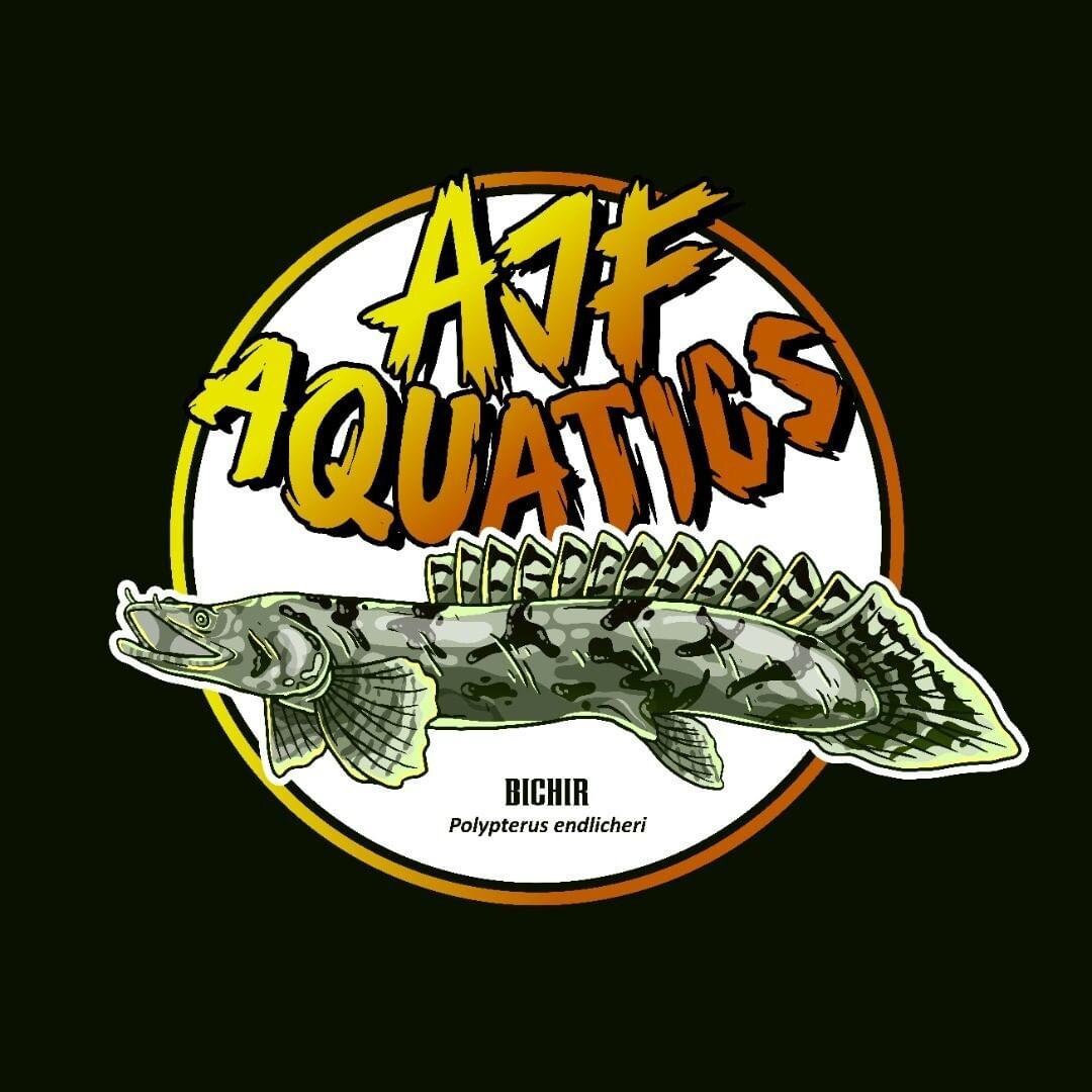 P. Endlicheri/ Endlicheri Bichir Sticker! @AJF_AQUATICS - Etsy UK