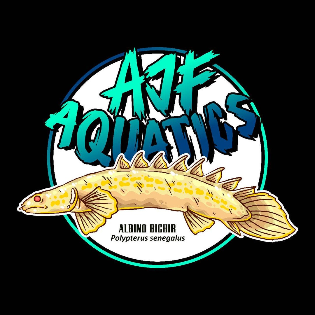 Albino Senegal Bichir Sticker! @AJF_Aquatics - Etsy Österreich