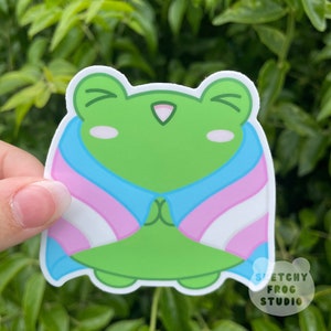 LGBTQ+ Flag Kawaii Frog Sticker Glossy Vinyl Trans Flag Kawaii Frog ...