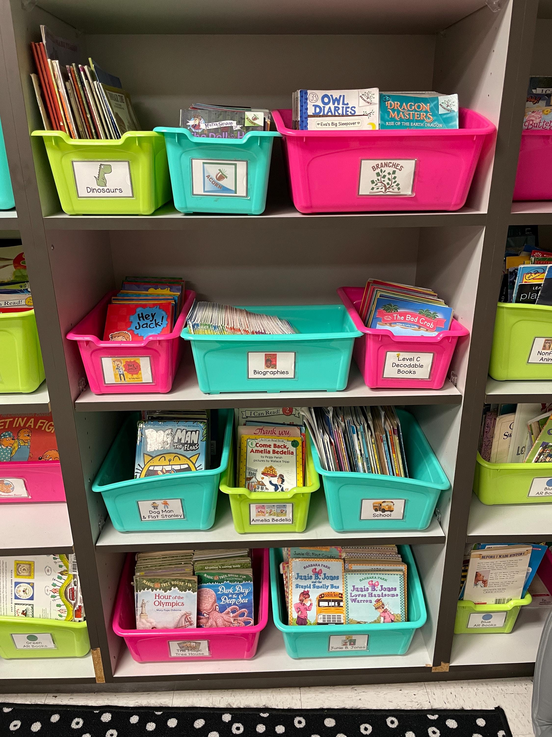 Classroom Library Book Basket or Bin Labels - INSTANT DOWNLOAD! - Etsy