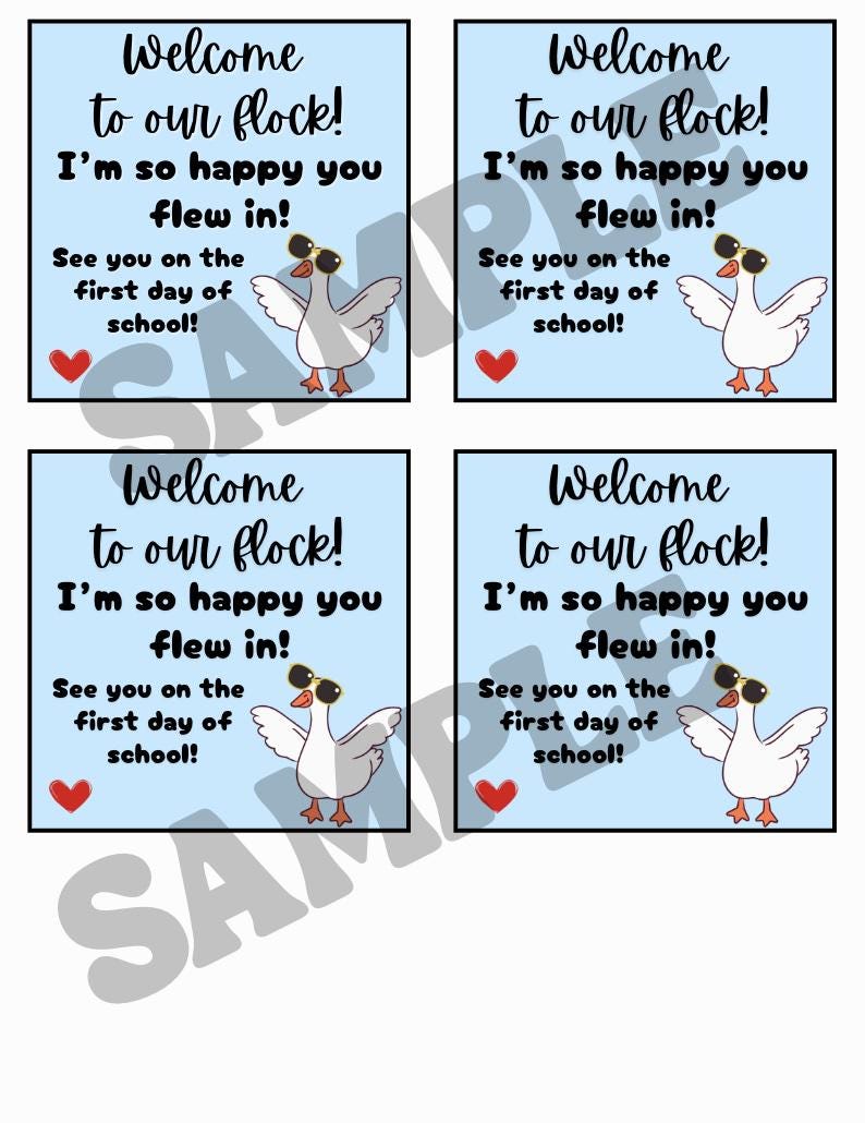 BACK TO SCHOOL Class Goose Bundle -70+ Pages of Fun- Instant Download ...