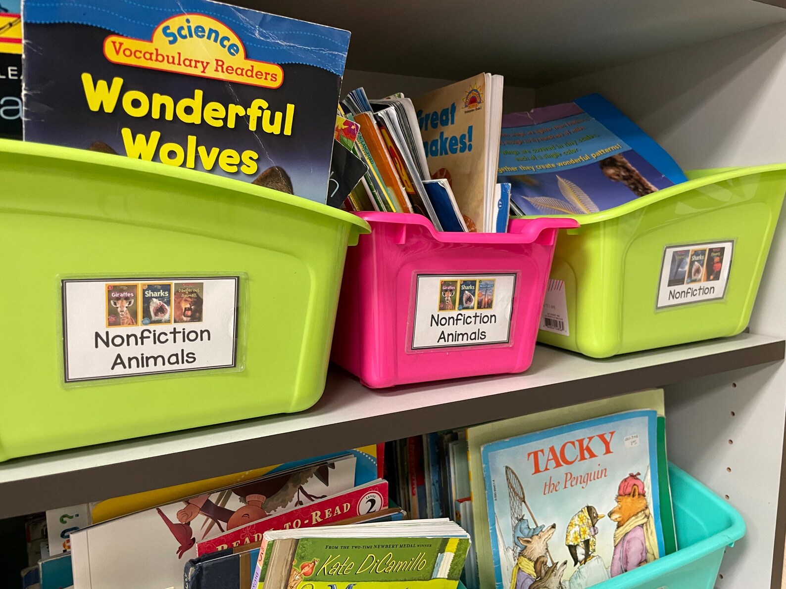 Classroom Library Book Basket or Bin Labels - INSTANT DOWNLOAD! - Etsy