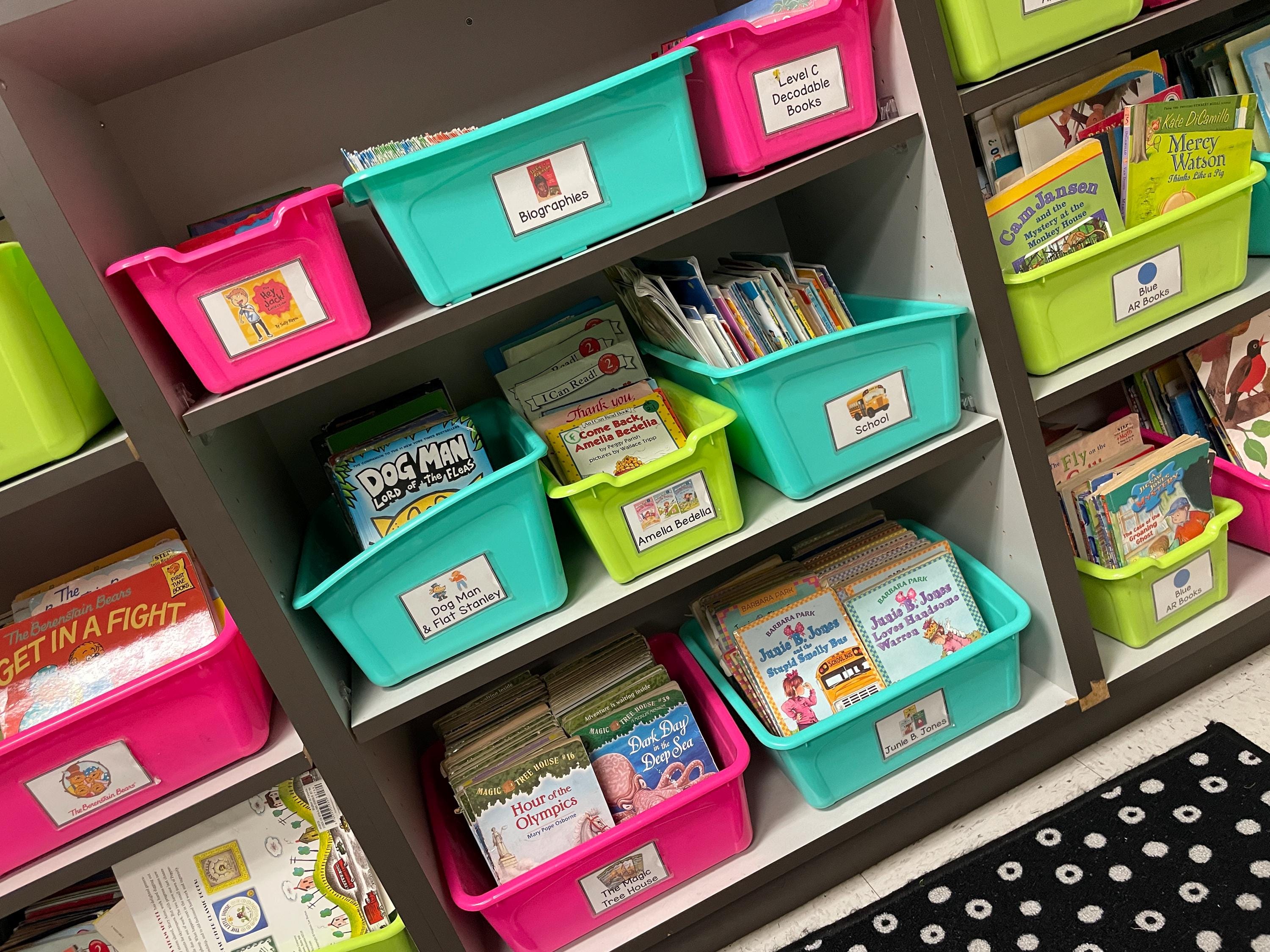 Classroom Library Book Basket or Bin Labels - INSTANT DOWNLOAD! - Etsy