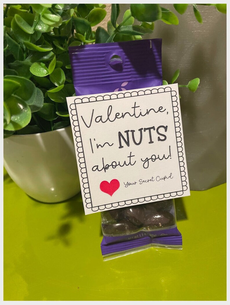 Valentine's Day Gift Tag - Valentine, I'm NUTS About You! - Etsy