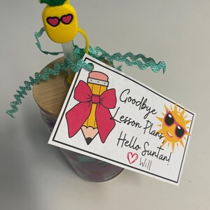 End of the Year Teacher Tag - Goodbye Lesson Plans, Hello Suntan ...