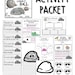 Ricky the Rock That Couldn't Roll Activity Packet - STEM Activity ...