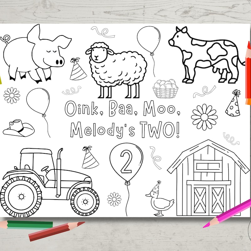 Barnyard Birthday Decorations - Etsy