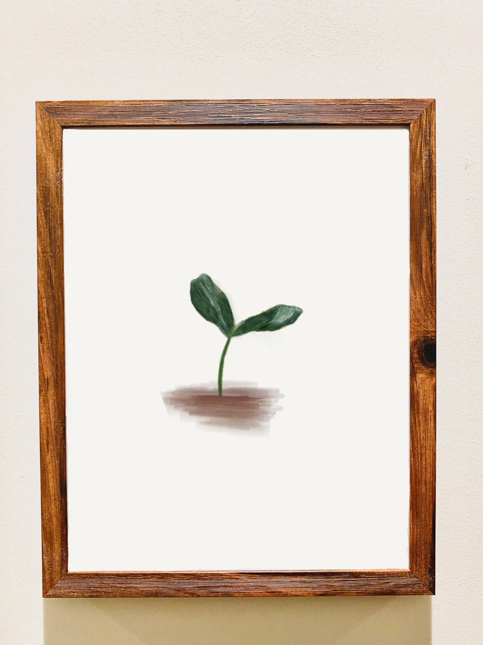 A Mighty Sprout: Plant Drawing Digital Print Art Print | Etsy