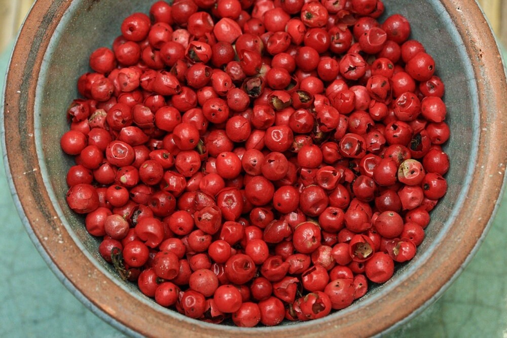 Red Pepper, Pink Berries 40g in a Glass Gewürzkontor Munich - Etsy