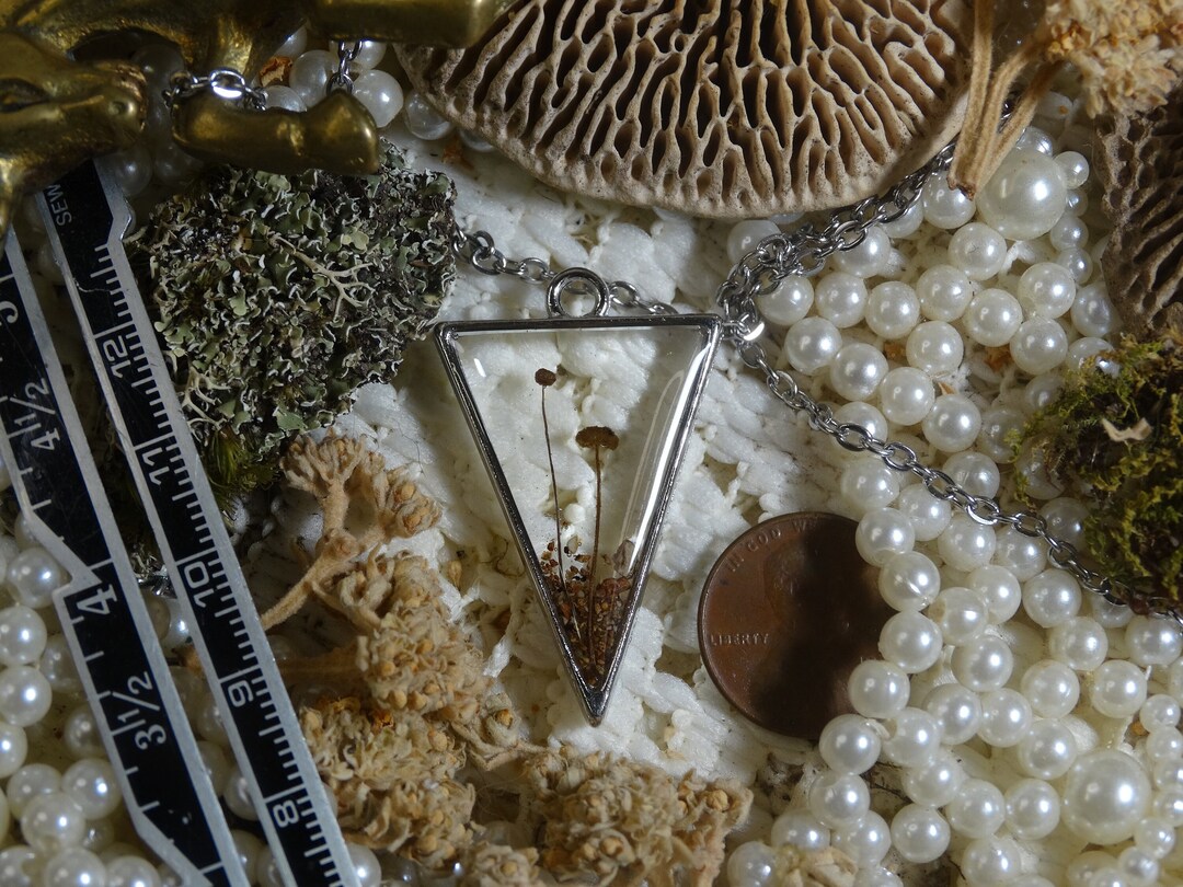 Real Mushroom Triangle Asymmetrical Necklace Dark Fairy Fashion Jewelry ...