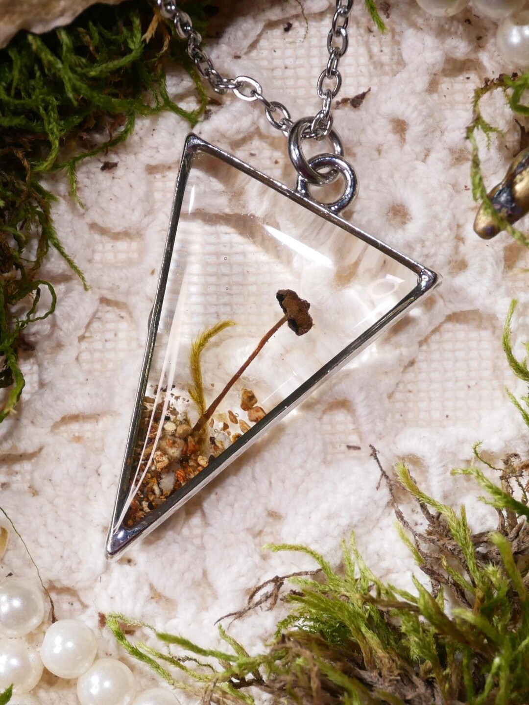 Real Mushroom Triangle Terrarium Necklace Jewelry Style Terrarium ...