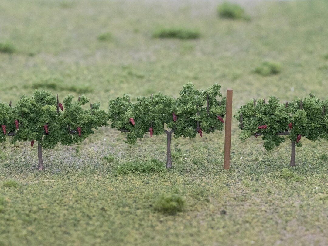 HO Scale Vineyard Row Kit - Etsy